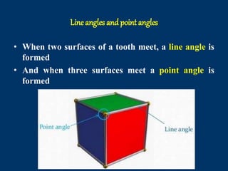 Dental anatomy introduction for BDS first year students | PPTX