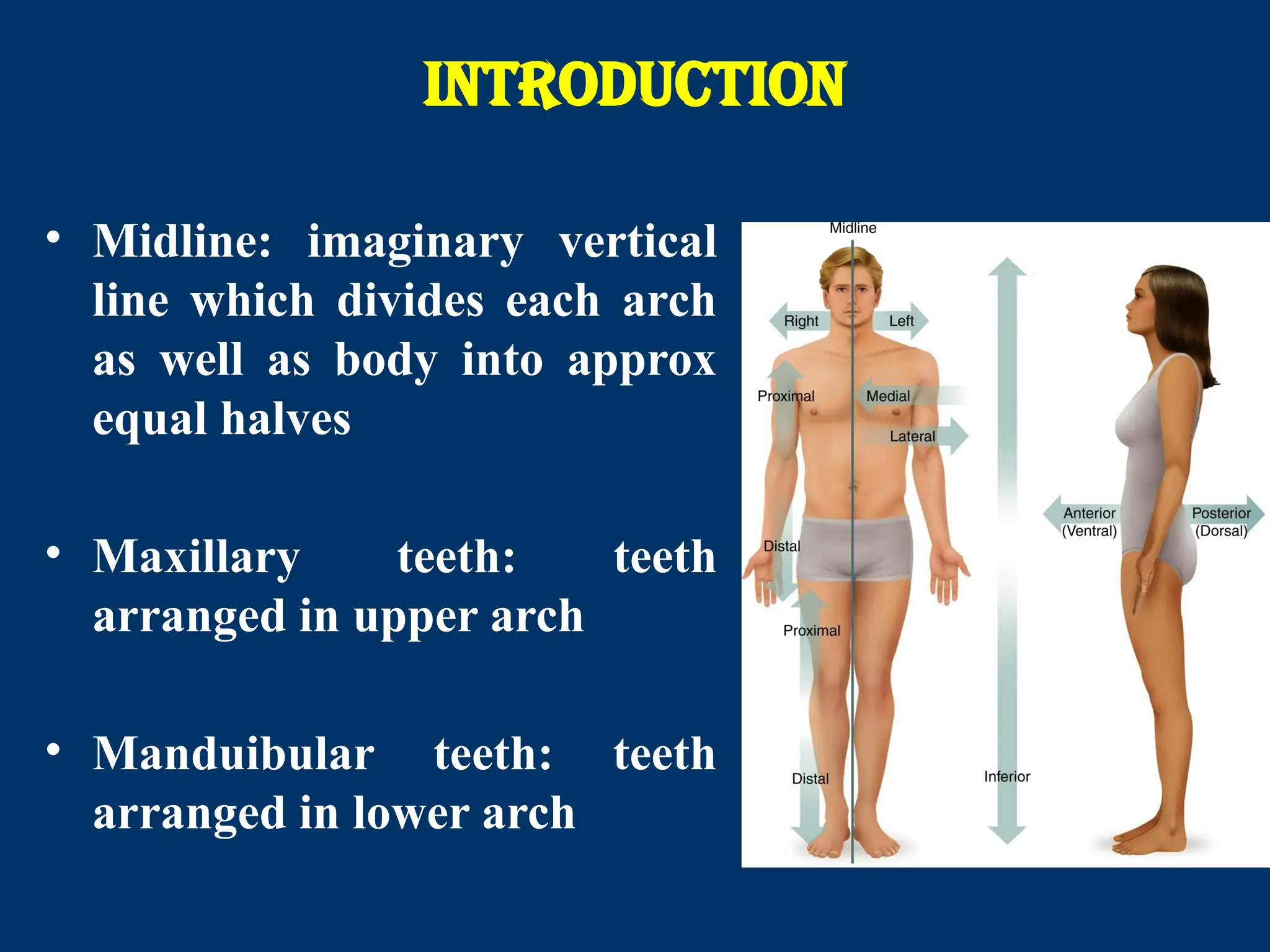 Introduction and nomenclature of dental anatomy | PPTX