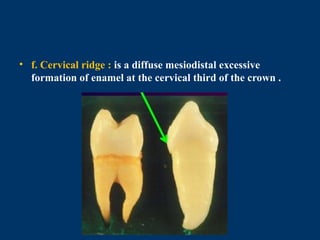 Introduction and nomenclature of dental anatomy | PPTX