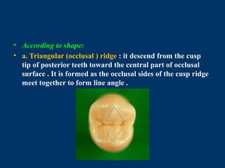 Introduction and nomenclature of dental anatomy | PPTX