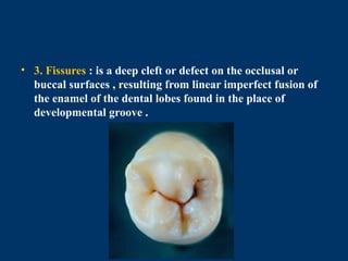 Introduction and nomenclature of dental anatomy | PPTX