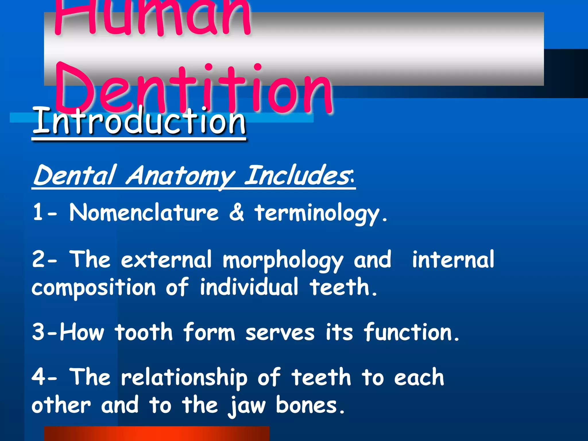 Dental anatomy | PPT