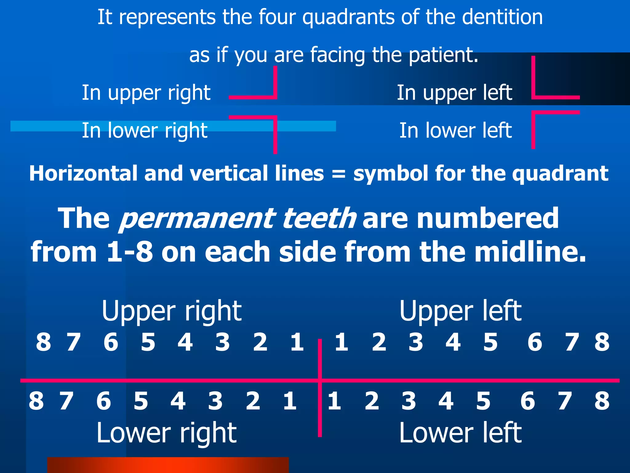 Dental anatomy | PPT
