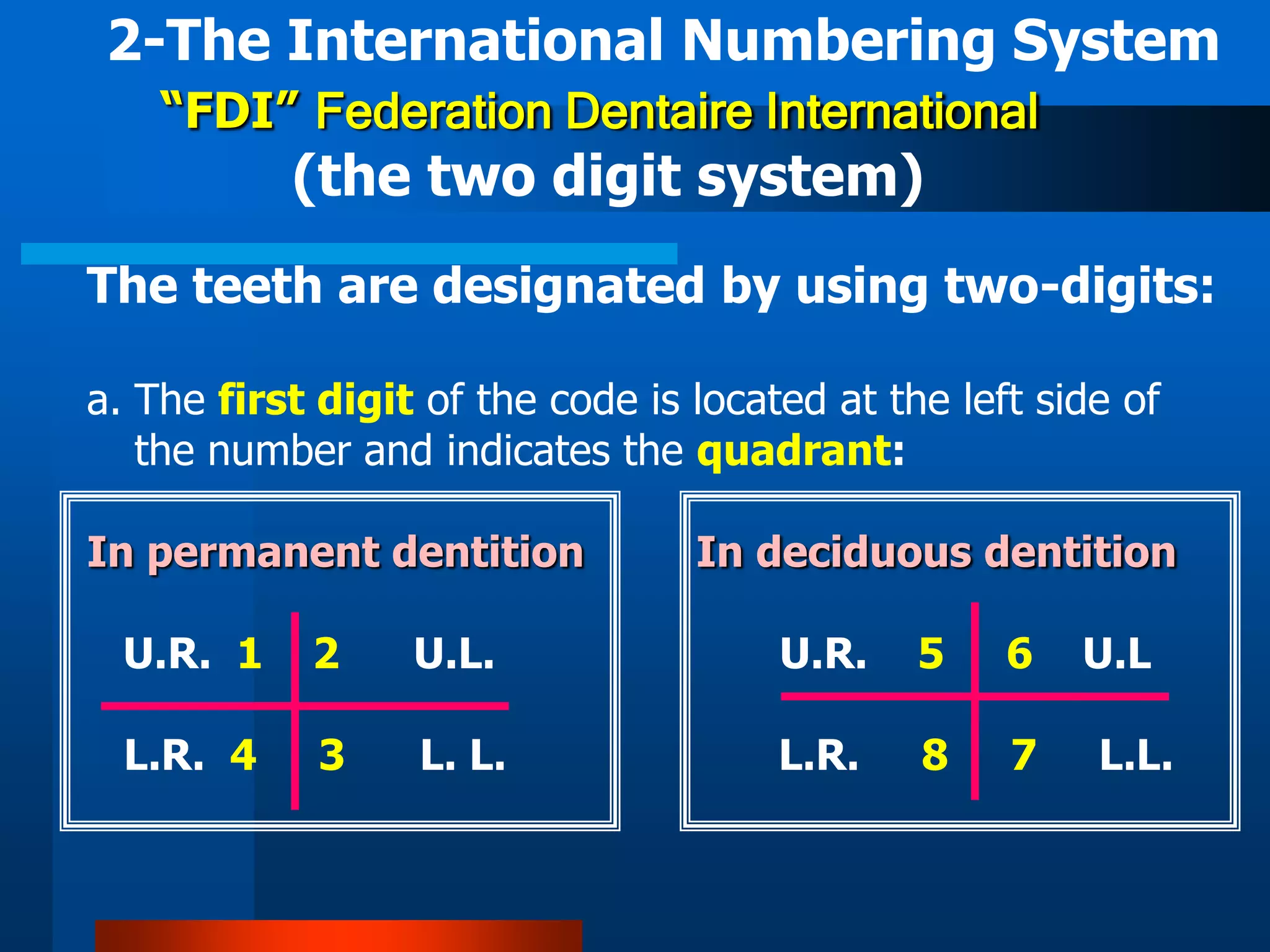 Dental anatomy | PPT