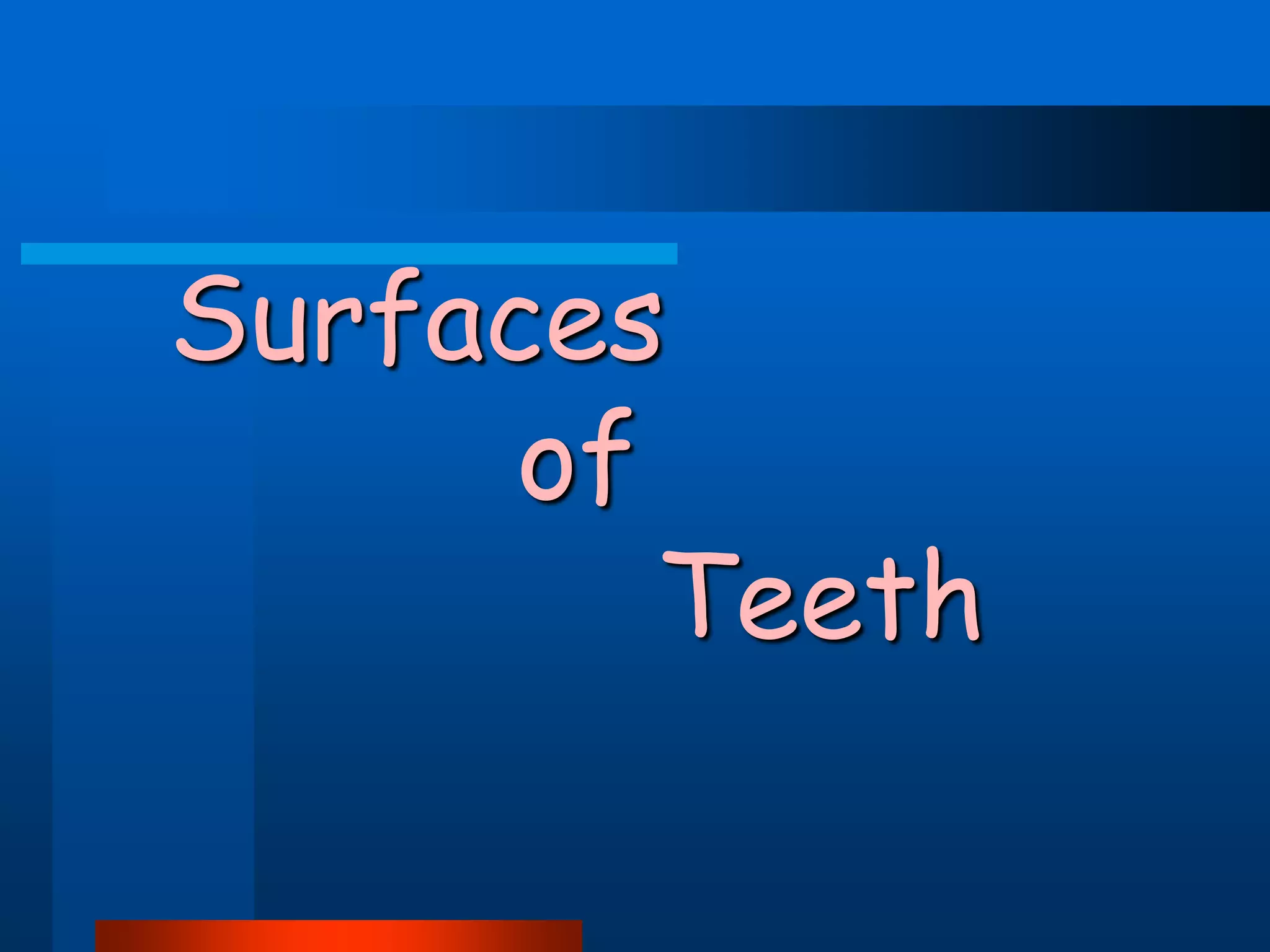 Dental anatomy | PPT