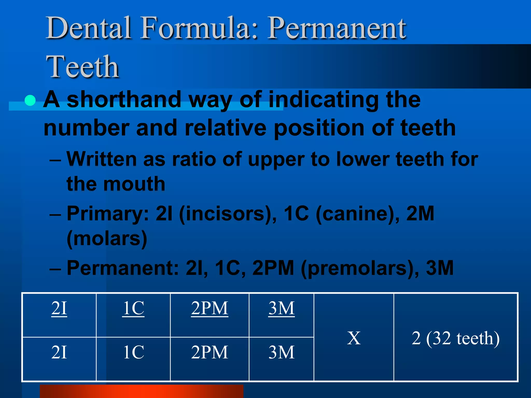 Dental anatomy | PPT