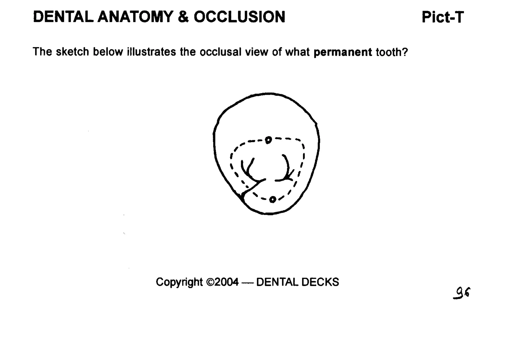 Dental Anatomy & occlusion-Dental Decks 2004.pdf