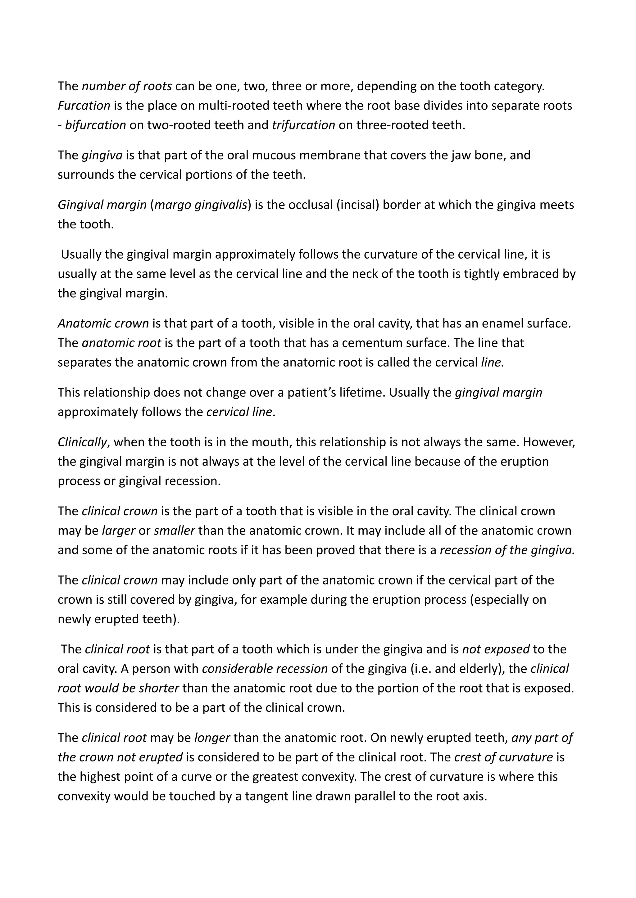 Dental Anatomy: Parts Of A Tooth | PDF