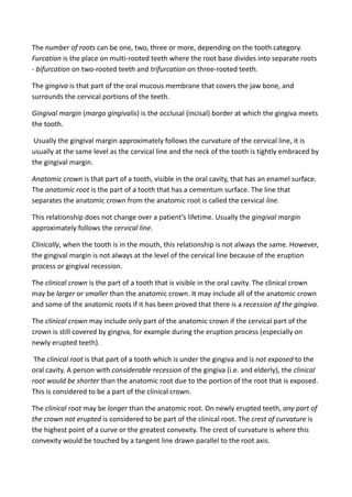 Dental Anatomy: Parts Of A Tooth | PDF