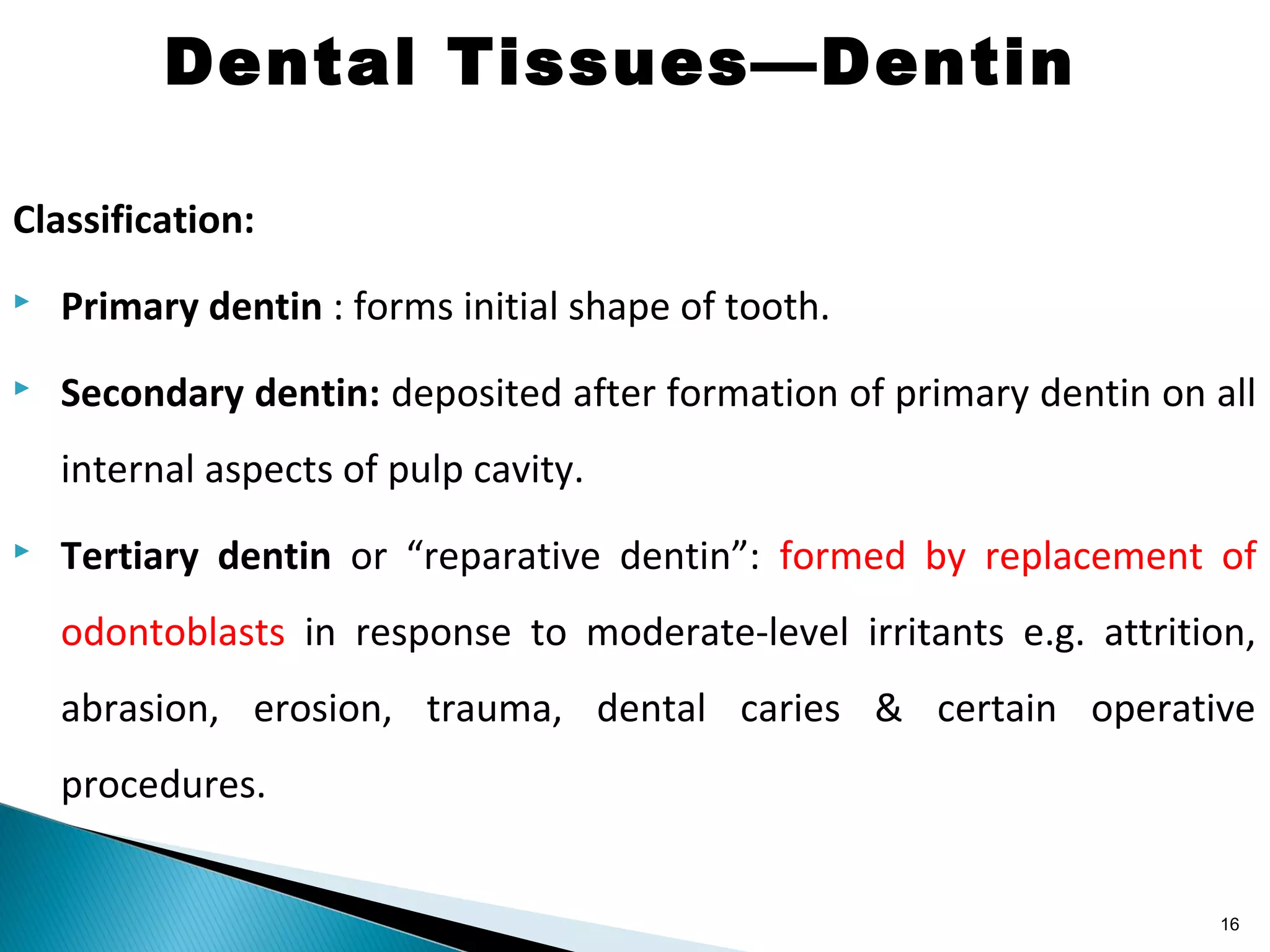 Dental anatomy & physiology | PPT