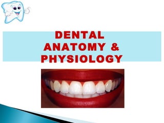 Dental anatomy & physiology | PPT