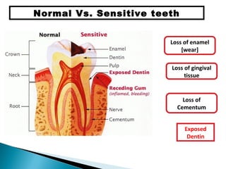 Dental anatomy & physiology | PPT