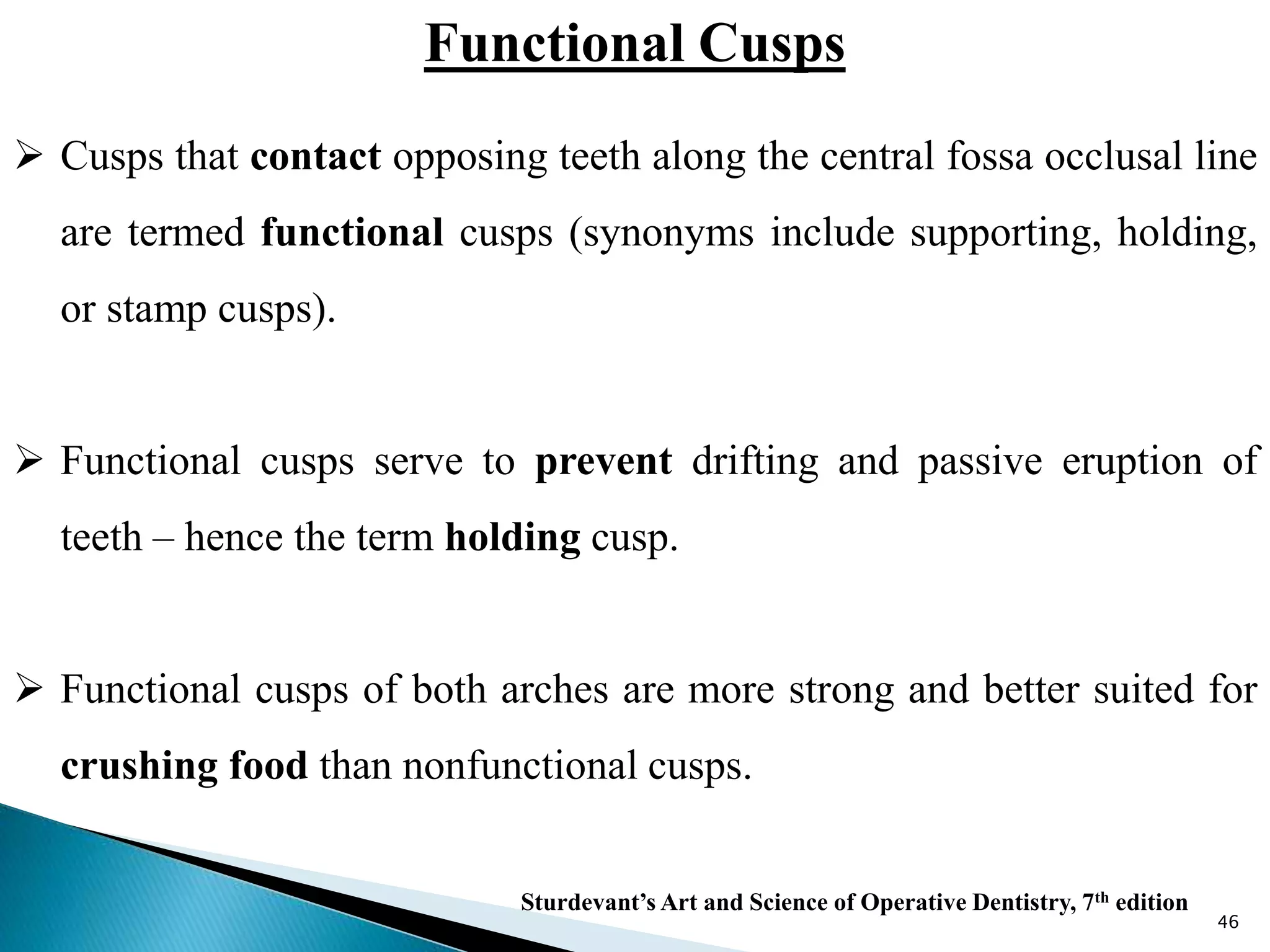 Clinical Significance of Dental Anatomy, Physiology and Occlusion | PPTX