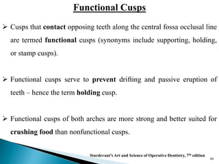 Clinical Significance of Dental Anatomy, Physiology and Occlusion | PPTX