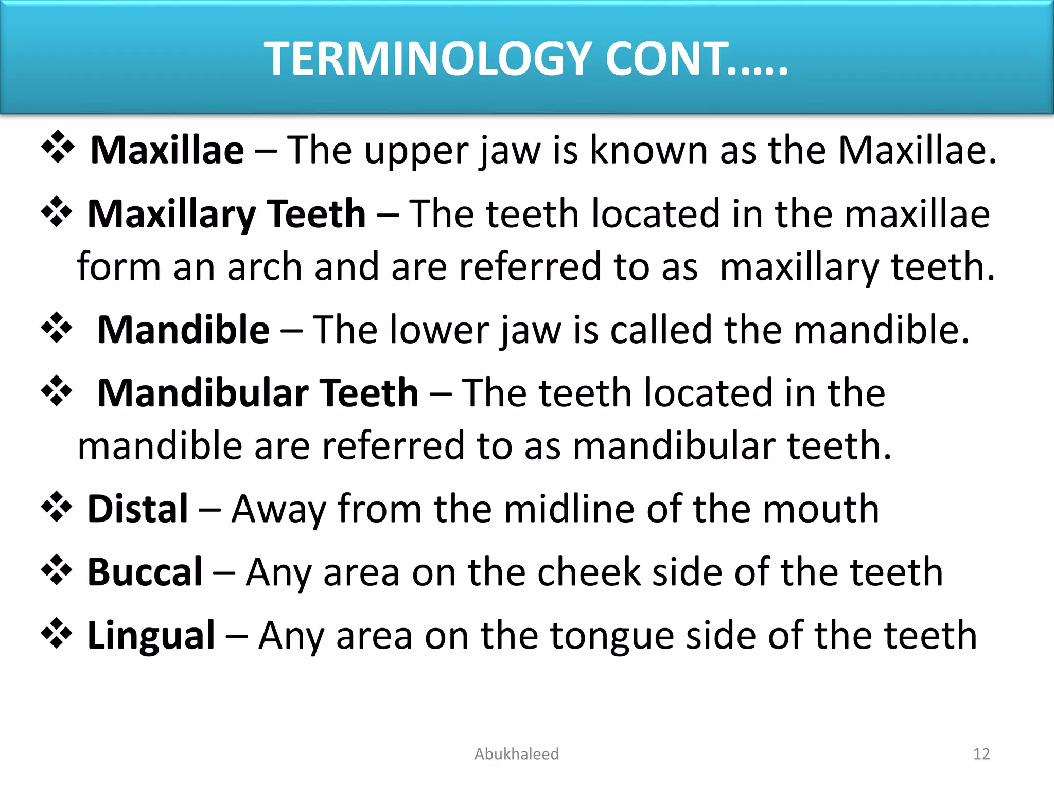 Dental Anatomy | PPTX