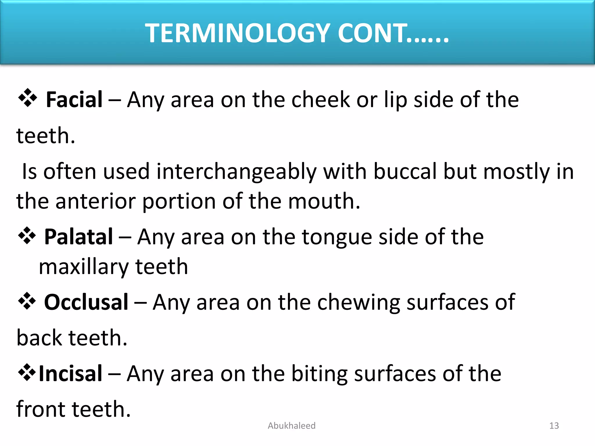 Dental Anatomy | PPTX