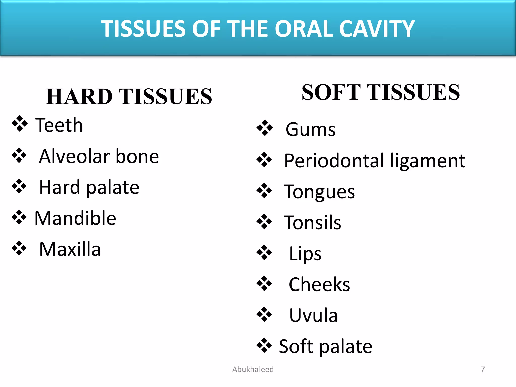 Dental Anatomy | PPTX