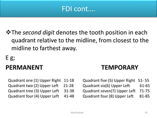 Dental Anatomy | PPTX
