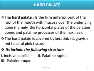 Dental Anatomy | PPTX