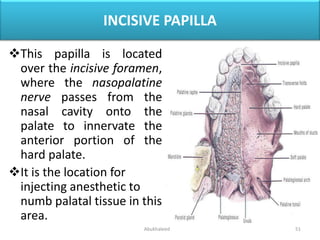 Dental Anatomy | PPTX