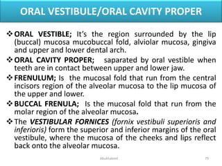 Dental Anatomy | PPTX