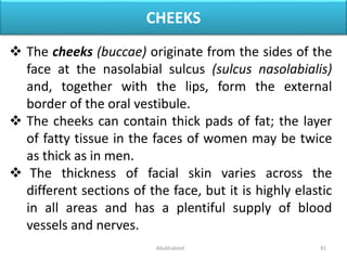 Dental Anatomy | PPTX