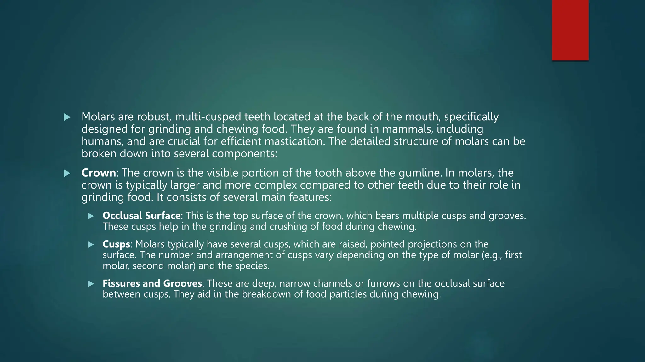 DENTAL ANATOMY TEETH TYPES AND DIFF BASIC TERMINOLOGY.pptx