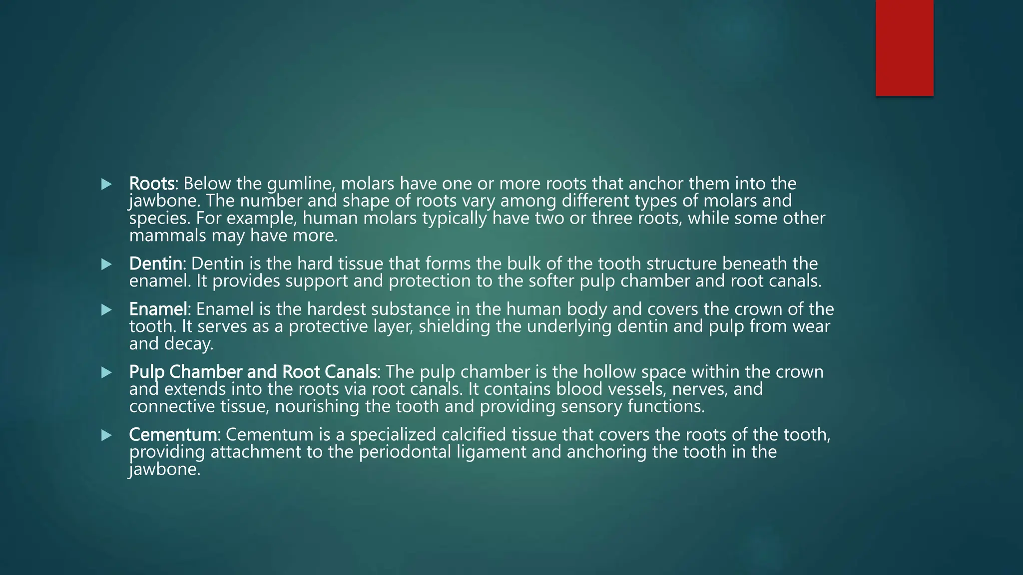 DENTAL ANATOMY TEETH TYPES AND DIFF BASIC TERMINOLOGY.pptx
