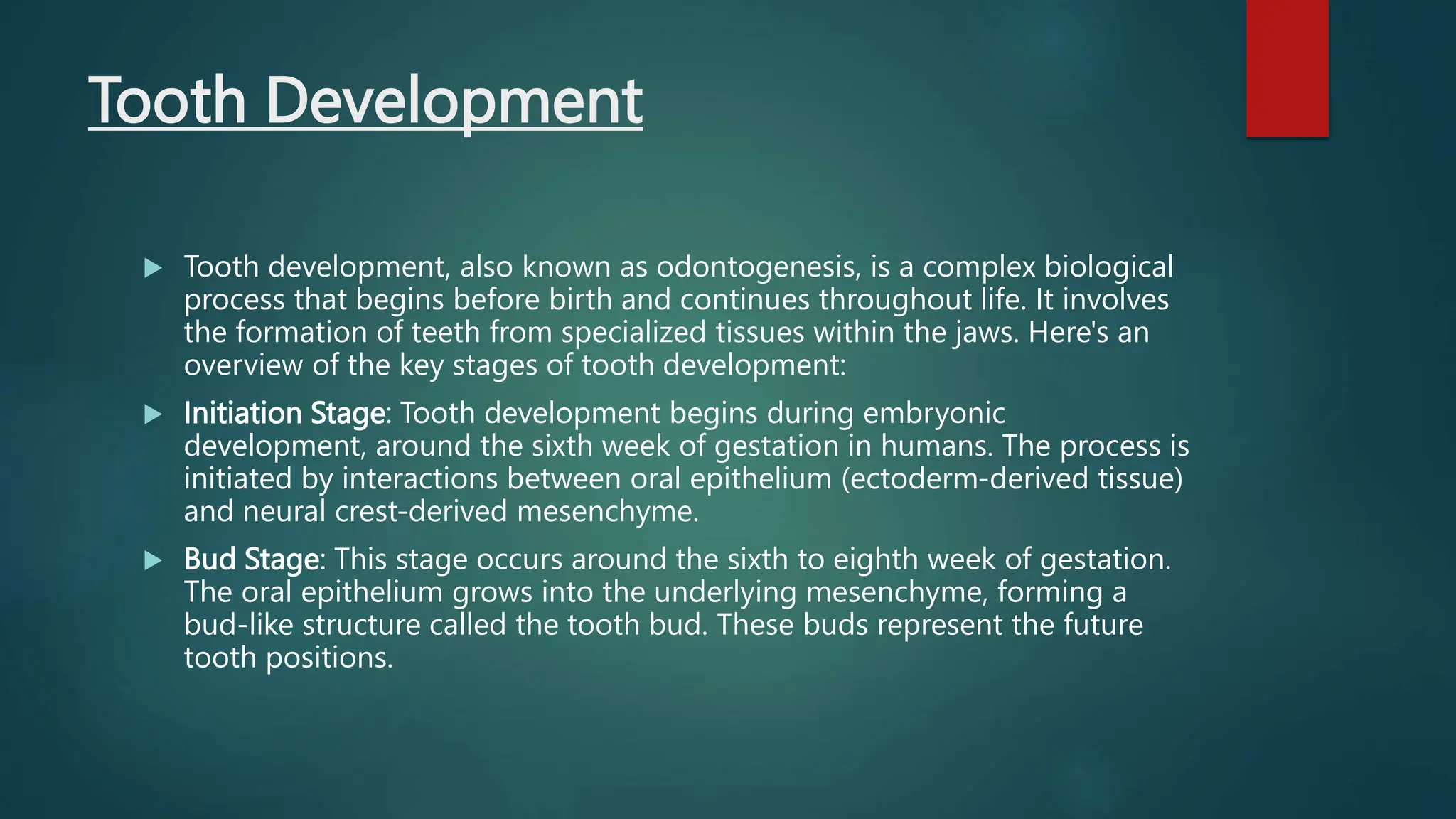 DENTAL ANATOMY TEETH TYPES AND DIFF BASIC TERMINOLOGY.pptx