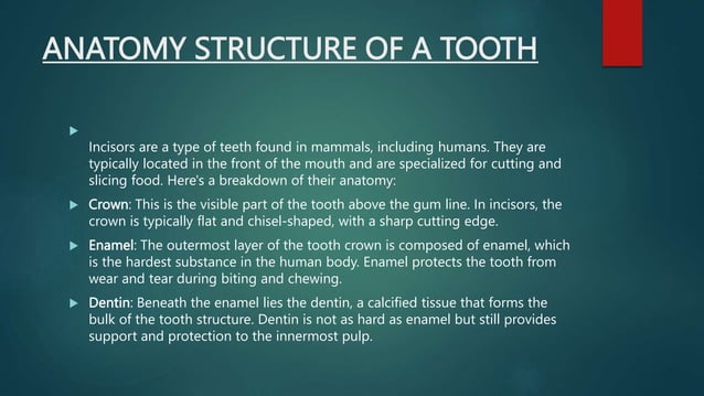 DENTAL ANATOMY TEETH TYPES AND DIFF BASIC TERMINOLOGY.pptx