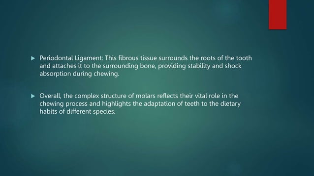DENTAL ANATOMY TEETH TYPES AND DIFF BASIC TERMINOLOGY.pptx