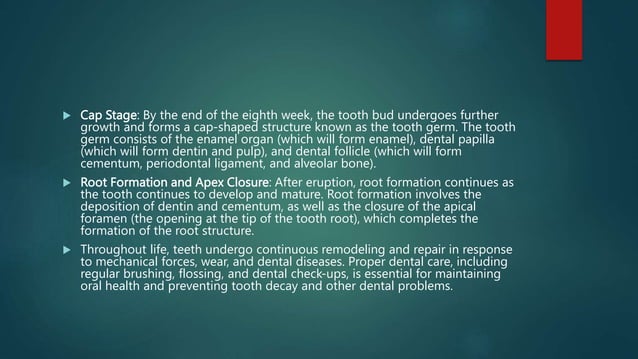 DENTAL ANATOMY TEETH TYPES AND DIFF BASIC TERMINOLOGY.pptx