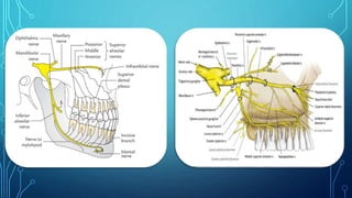 Dental Anesthesia Dental Anaesthesia Techniques & Complications | PPTX