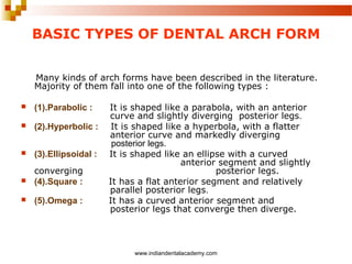 Dental arch forms /certified fixed orthodontic courses by Indian dental ...