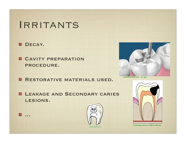 Dental bases and liners | PDF | Dental Health | Diseases and Conditions