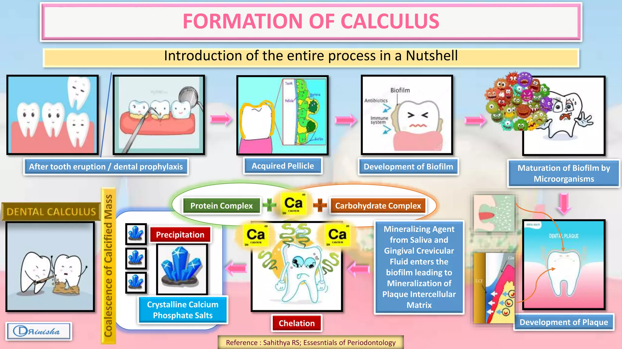 Dental calculus | PPTX