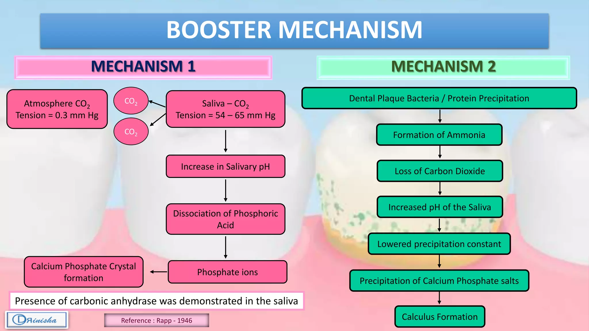 Dental calculus | PPTX