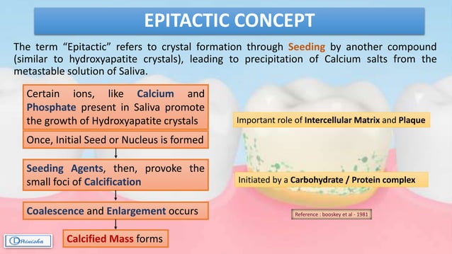 Dental calculus | PPTX | Dental Health | Diseases and Conditions