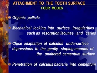 DENTAL CALCULUS.ppt