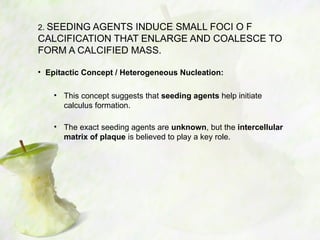 Dental Calculus - Formation, Pathogenesis and Removal | PPT