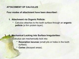 Dental Calculus - Formation, Pathogenesis and Removal | PPTX