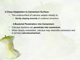 Dental Calculus - Formation, Pathogenesis and Removal | PPTX