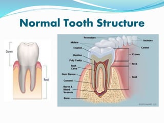Oral Health and Dental Management | PPTX