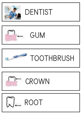 Dental care flashcards | PDF
