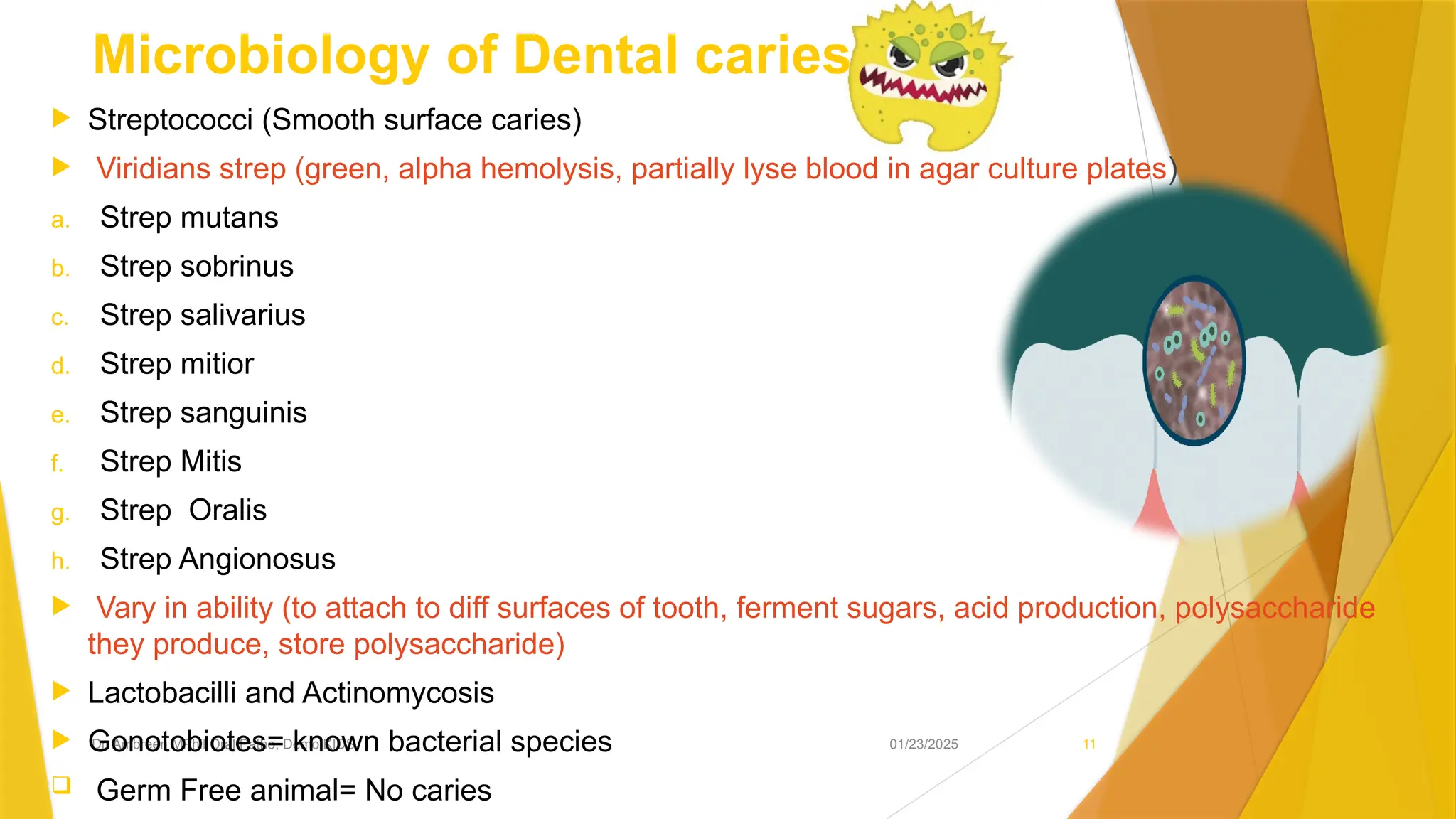 DENTAL CARIES lecture description it's prevention | PPTX