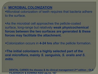 Dental caries (operative dentistry) | PPTX