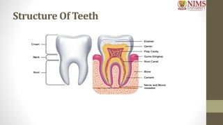 Dental Cavities , Gum , Bleeding ,Mouth.pptx