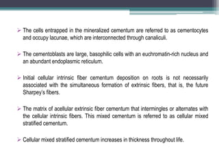 Dental cementum | PPTX