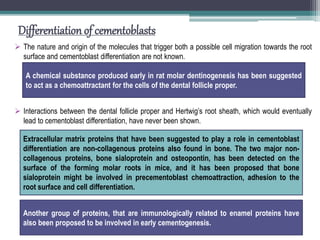 Dental cementum | PPTX