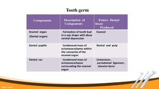 Dental change .pptx